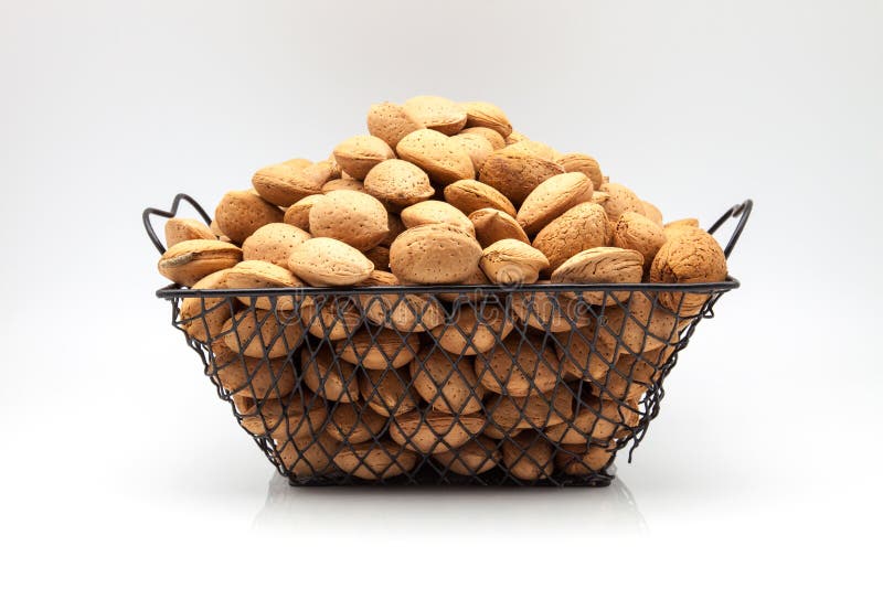 Almonds harvested stock image. Image of basket, container - 26547429