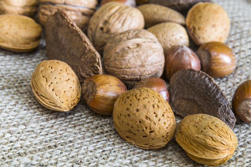 Almonds, Hazelnuts, Walnuts, Brazil Nuts on Burlap Stock Image - Image ...