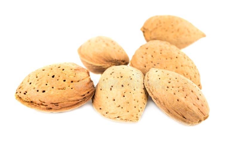 Almonds stock image. Image of grow, protein, agricultural - 237045543