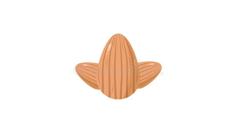 Almonds Icon Animation for Motion Graphics and Foods and Drinks Icons ...