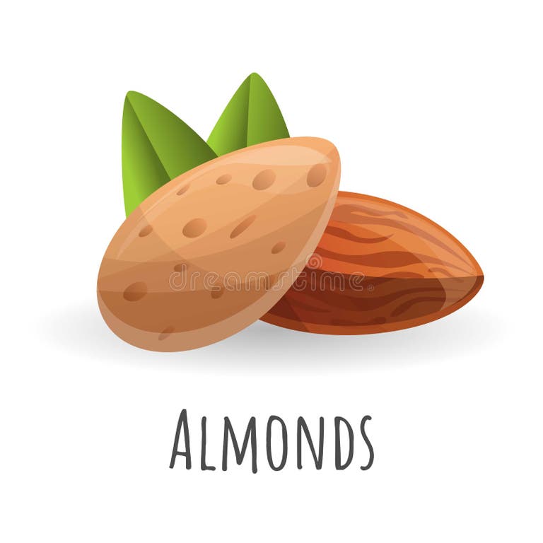 Almonds Stock Illustrations – 17,286 Almonds Stock Illustrations ...