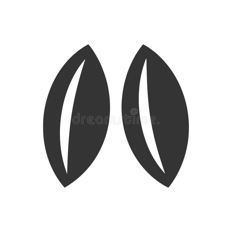 Almonds Icon stock vector. Illustration of icon, sign - 296705597