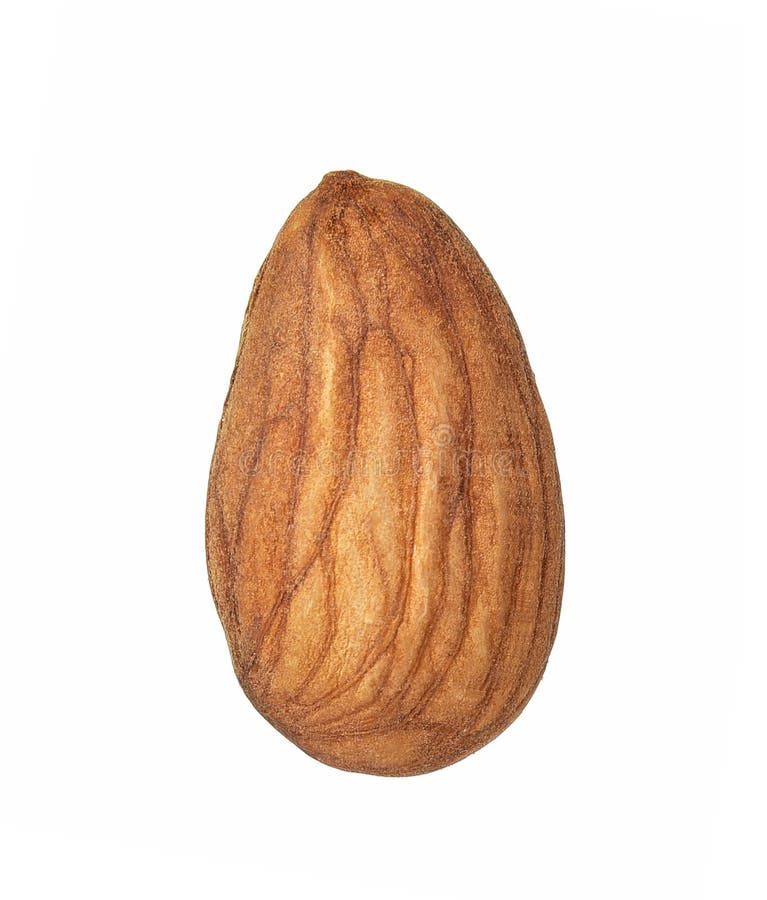Almonds Isolated on White Background Stock Image - Image of single ...