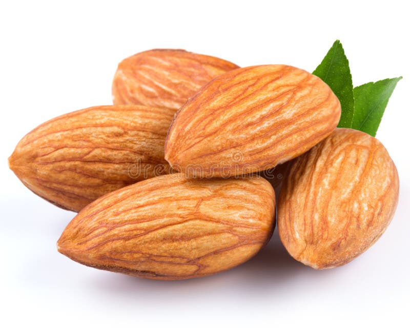 Almonds stock photo. Image of isolated, heap, detail - 48848832