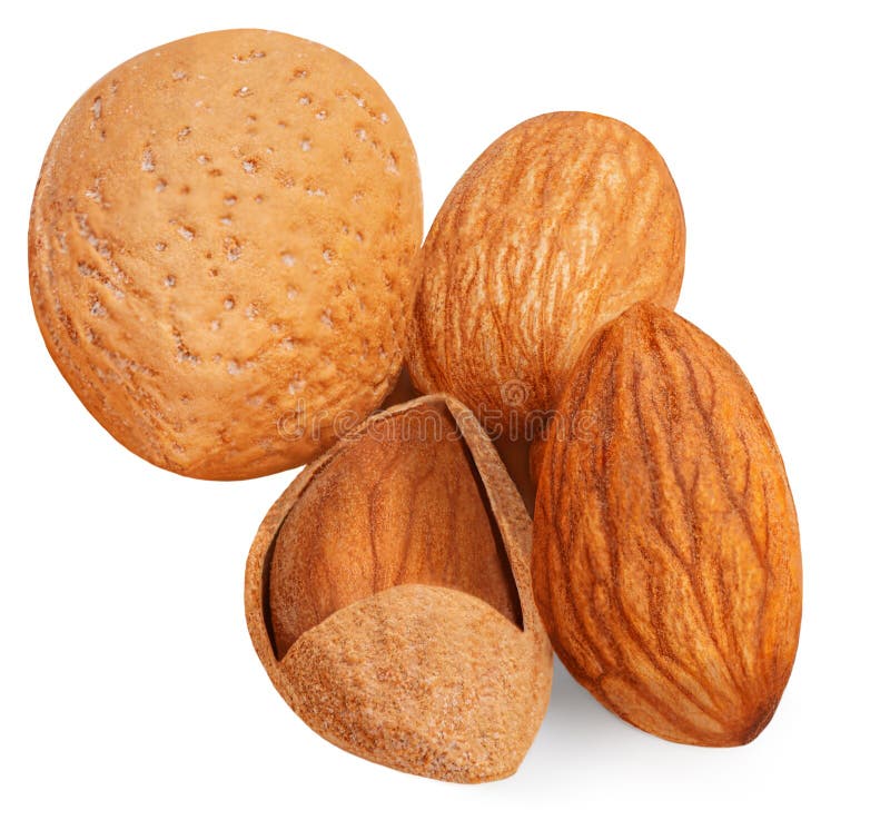 Almonds Isolated on White Background. Almond Nut Collection Stock Image ...