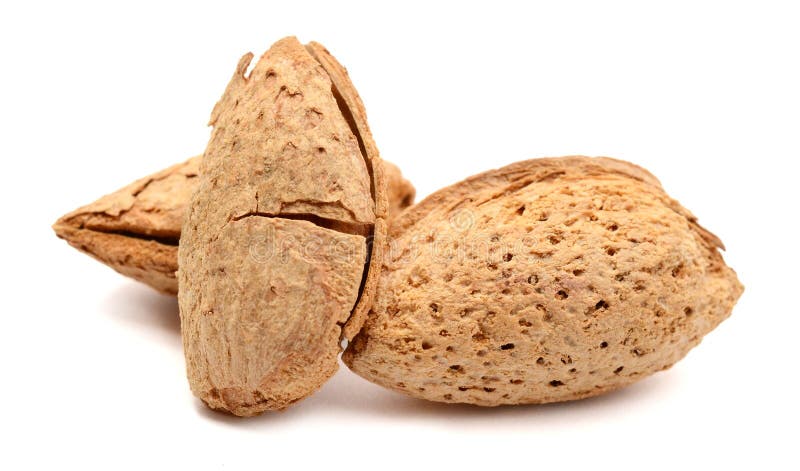 Almonds Isolated on White Background. Group of Brown Fresh Almon Stock ...