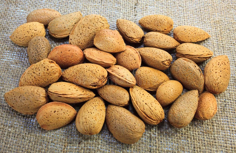 Almonds on jute surface stock image. Image of drupe, group - 28370619