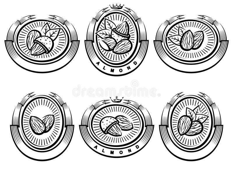 Almonds Labels and Icon Set. Collection Icon Almond Stock Illustration ...