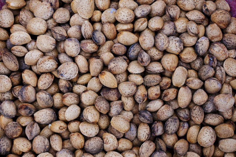Almonds stock image. Image of heap, brown, healthy, agriculture - 67552441