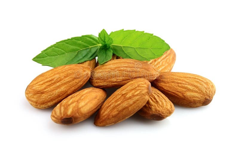 Almonds. stock photo. Image of plant, closeup, ingredient - 101286056