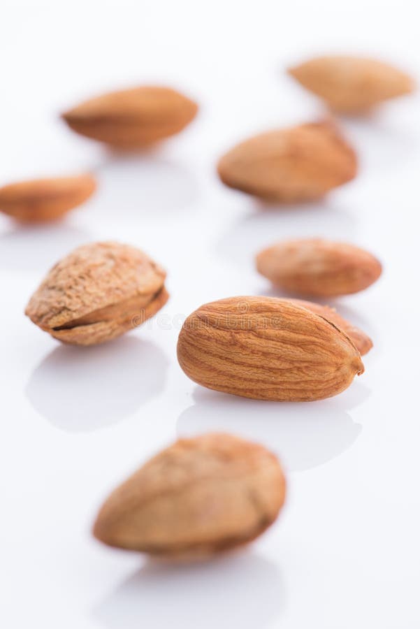 Almonds Nut with Shell Isolated on White Stock Photo - Image of ...