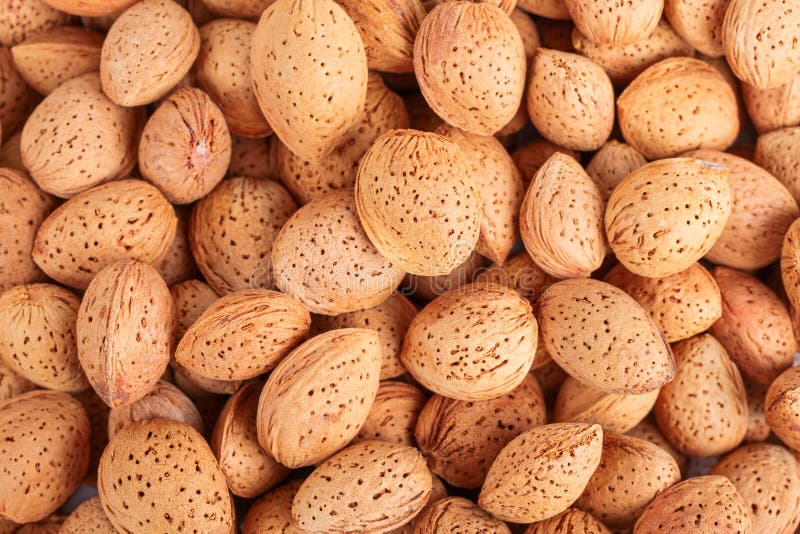 Almond nuts stock photo. Image of background, seed, snack - 16182644