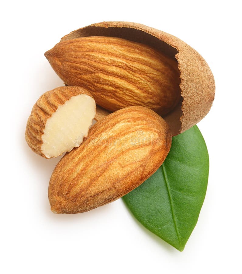 Almonds with a leaf stock image. Image of full, nature - 21776227
