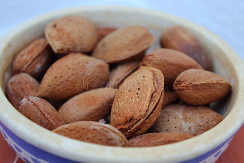 Almonds photo stock photo. Image of nature, ingredient - 69739342