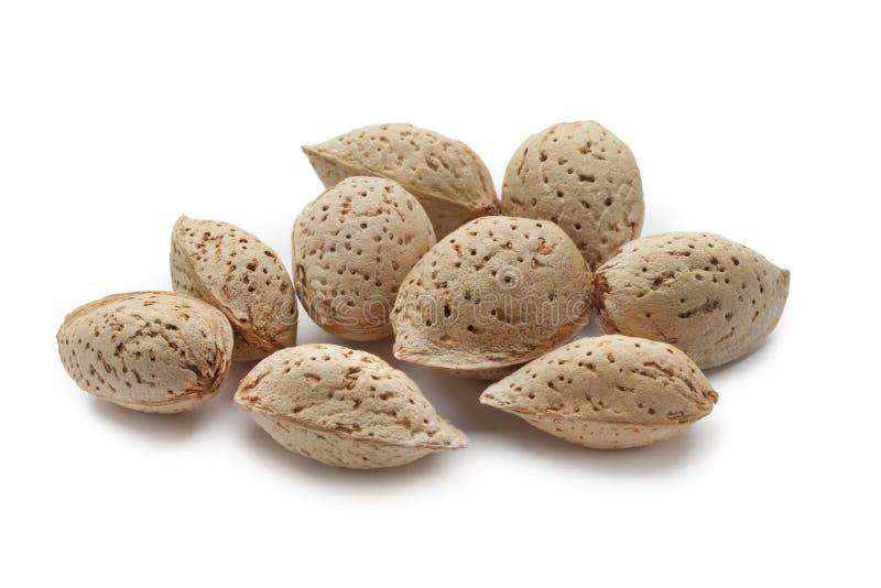 Almonds in the pod stock image. Image of white, studio - 22162105