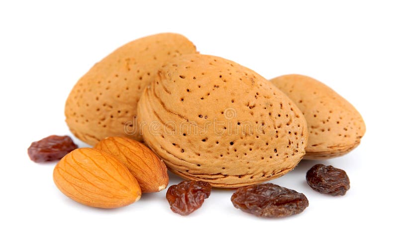 Almonds. stock photo. Image of plant, closeup, ingredient - 101286056