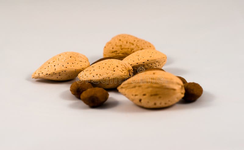 Almonds in shell stock photo. Image of growers, healthy - 10803144