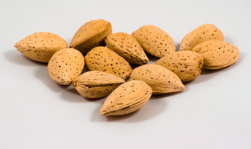 Almonds in shell stock image. Image of group, almond - 10730457
