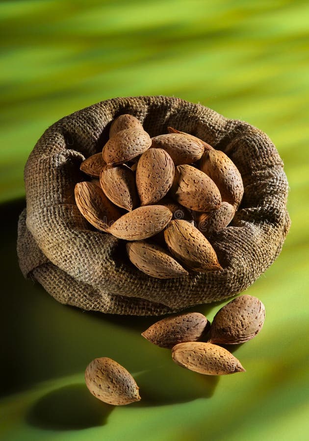 Almonds in shell stock photo. Image of almond, organic - 11178028