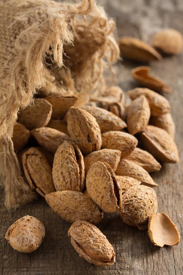 Almonds in shell. stock image. Image of ingredient, bird - 29569367