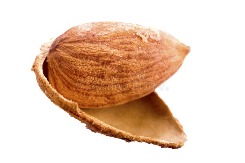 Toasted almons stock photo. Image of nutritious, seed - 47604356