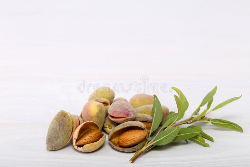 Almonds with Shell and Green Leaves on White Background Stock Photo ...