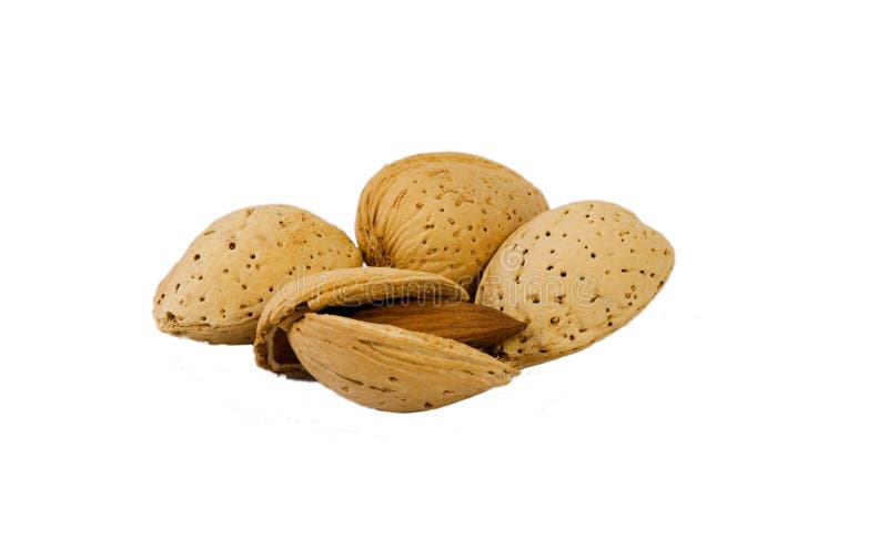 Almonds in shell stock photo. Image of growers, healthy - 10803144