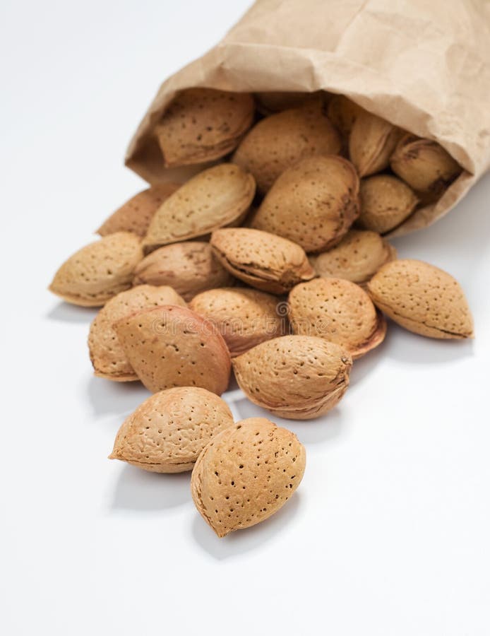 Almonds in a shell stock image. Image of white, strong - 68070649