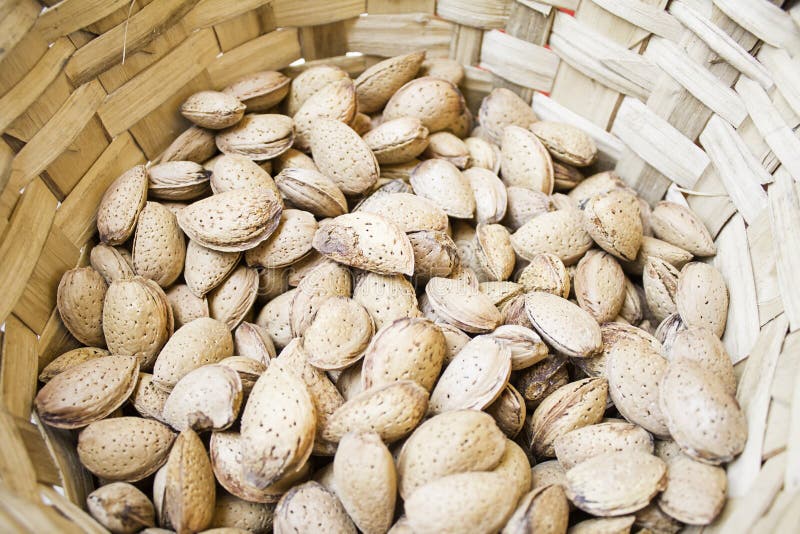 Almonds in shell stock image. Image of closeup, fresh - 44272533