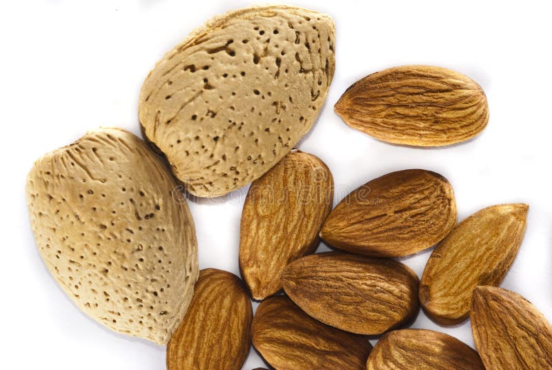 Almonds with and without Shells Stock Photo - Image of group ...