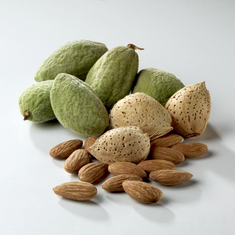 Almonds with and without Shells Stock Photo - Image of chestnut ...