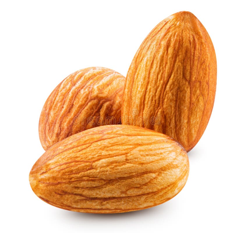 Almonds stock photo. Image of isolated, heap, detail - 48848832