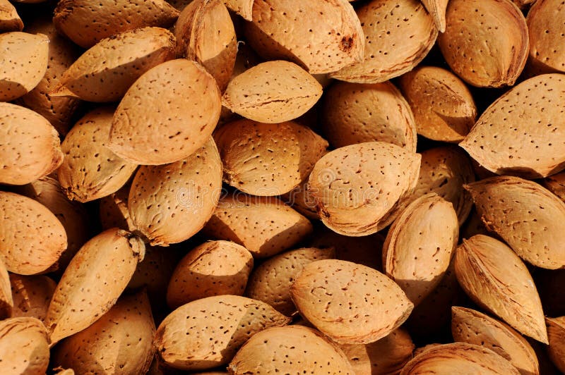 Almonds texture stock image. Image of piece, pieces, abstract - 11661651