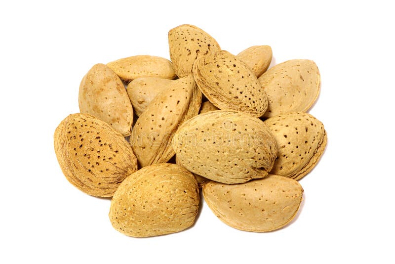 Almonds in Their Shell Isolated on a White Background. Almonds Raw ...