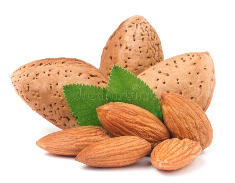 Almonds in Their Skins and Peeled with Leaf Isolated on White ...