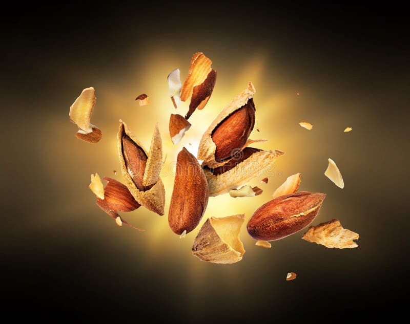 Almonds is Torn To Pieces in the Dark Stock Illustration - Illustration ...