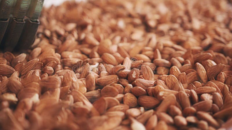 Almonds on a Vibrating Sorting Machine in an Industrial Food Processing ...