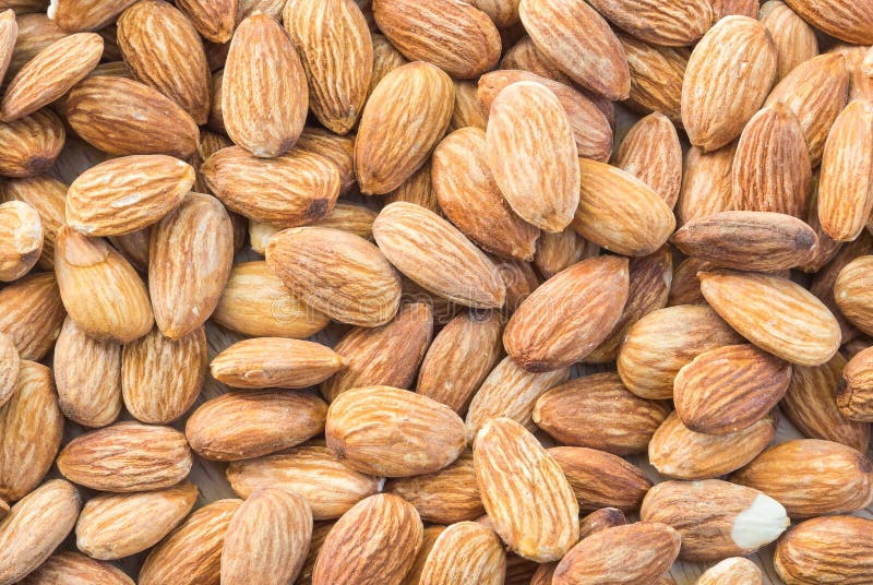 Toasted almons stock photo. Image of nutritious, seed - 47604356