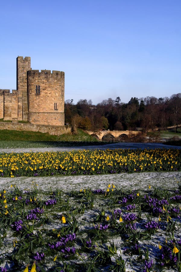 Alnwick castle stock image. Image of alnwick, cold, frosty - 2129403