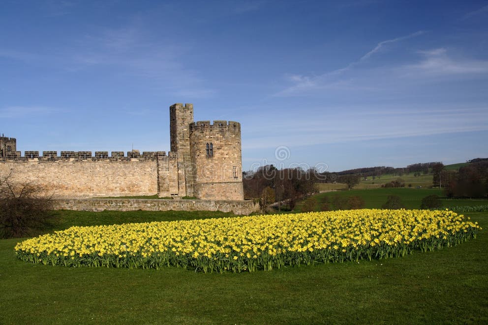 Alnwick castle stock photo. Image of flowers, reviever - 2214312