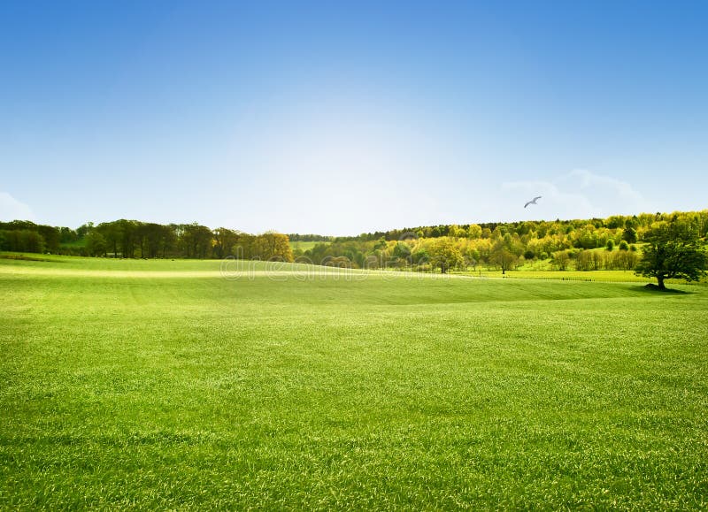 Alnwick Pastures, Northumberland Stock Photo - Image of grassy ...
