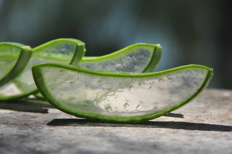 Aloe stock image. Image of healthy, moisturizing, aloe - 18068909