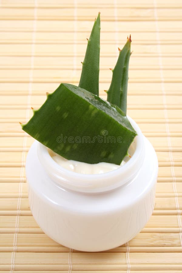 Aloe cream and oil stock photo. Image of stem, flower - 3279488