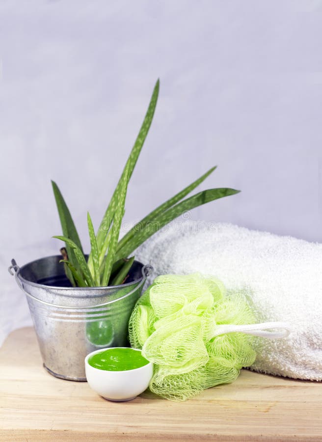 Aloe spa stock image. Image of luxury, culture, flora - 17857985