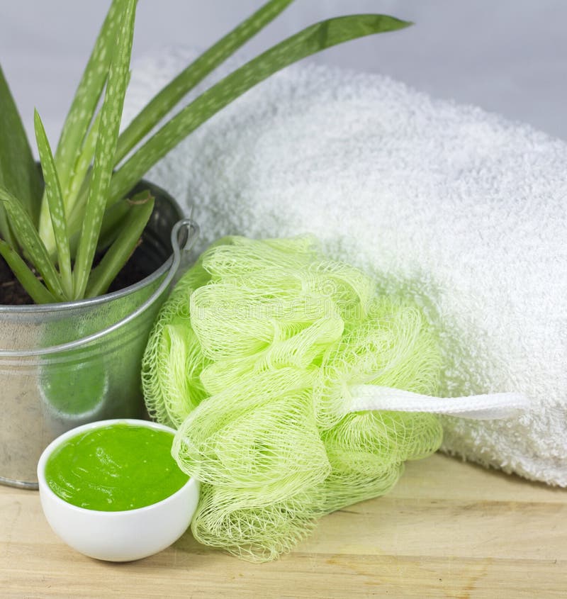 Aloe Vera creme stock photo. Image of cactus, cover, homeopathy - 19450626