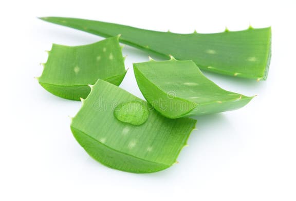 48,313 Aloe Vera Industrries Stock Photos - Free & Royalty-Free Stock ...