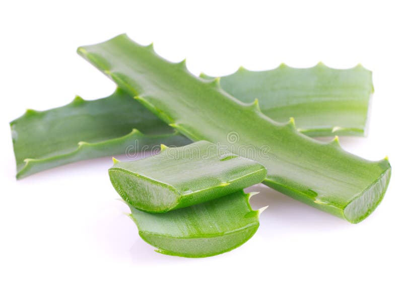 Aloe vera stock image. Image of green, cactus, plant - 61588983