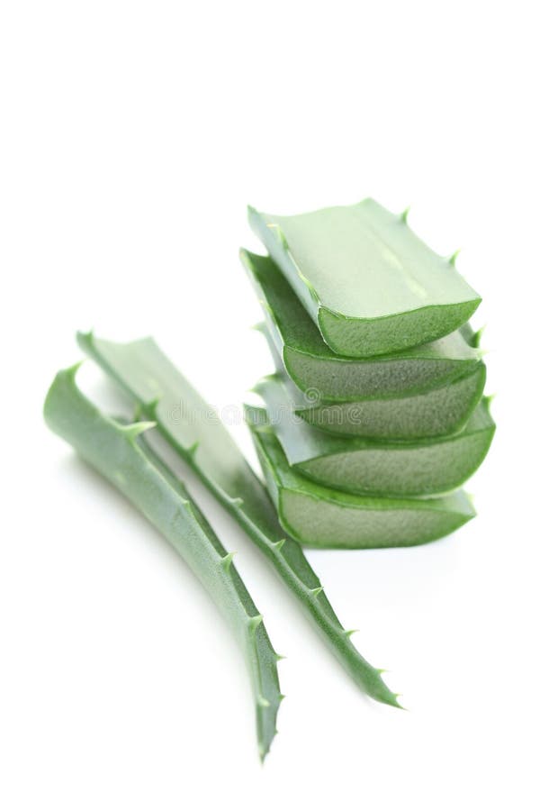 Aloe vera stock image. Image of vera, succulent, closeup - 17875231