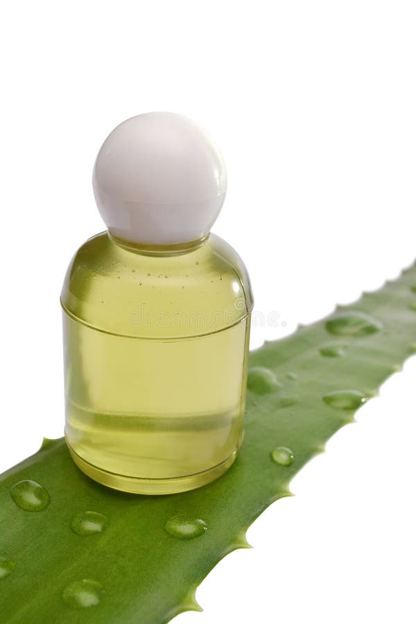 Aloe vera body oil stock photo. Image of aloe, diet, cream - 36285732