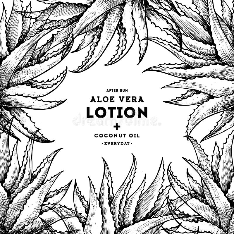Aloe Vera Frame. Botanical Design Template. Engraved Style. Vector ...